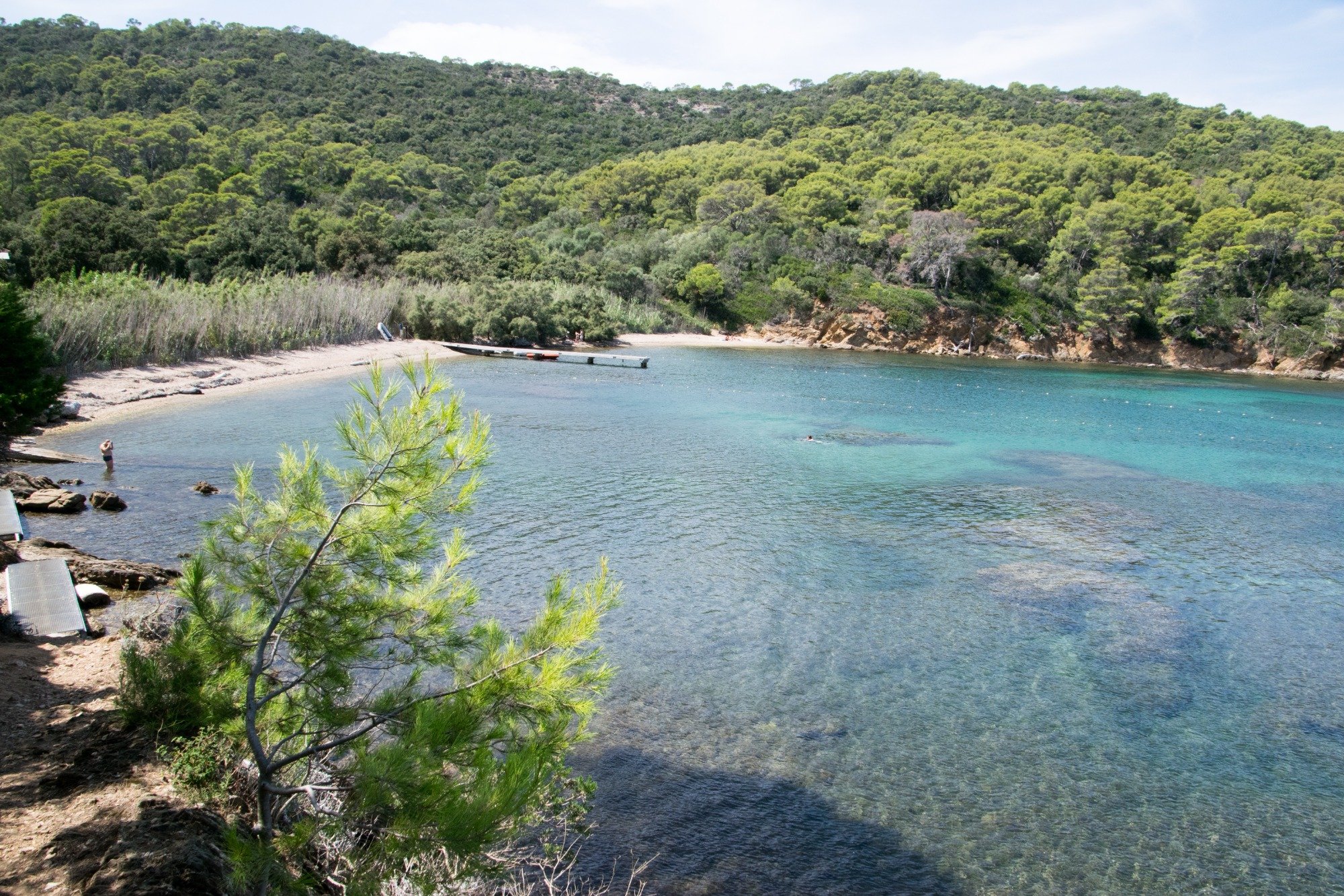 Port Cros - Pointe de Port-Man en passant par la pointe de la Palud ...