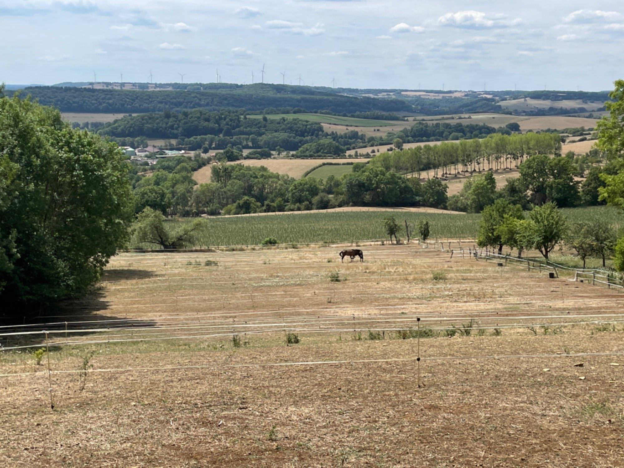 Les coteaux du plateau de Langres | OpenTracks